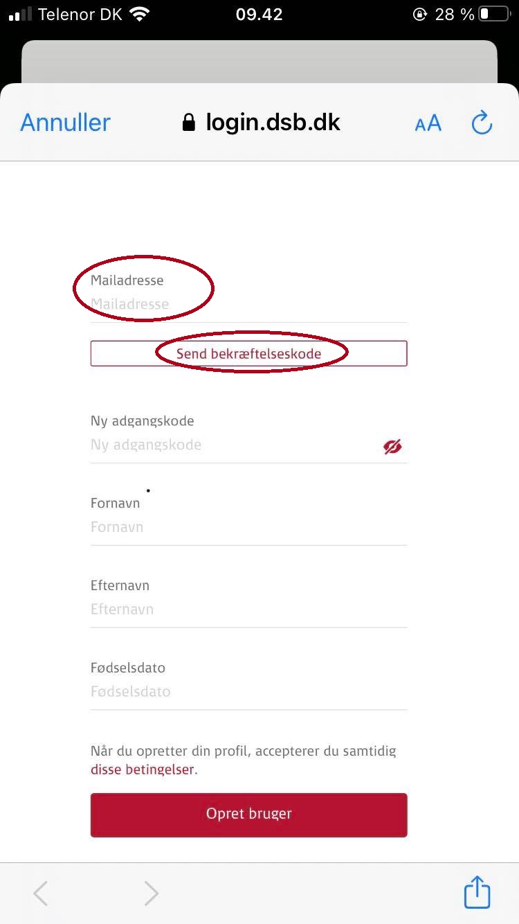 DSB | Guides til Erhvervsportalen