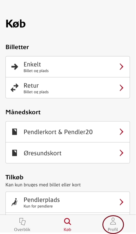 DSB | Guides til Erhvervsportalen